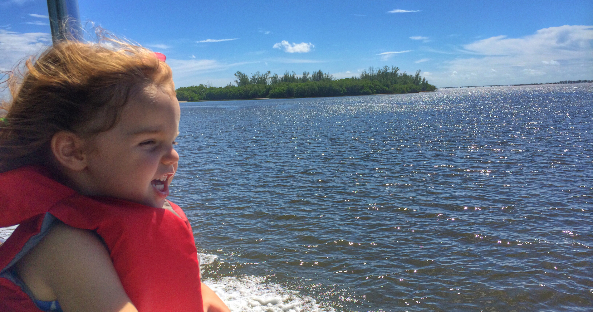 Morning Dolphin & Wildlife Cruise | Adventures in Paradise - Fort Myers ...